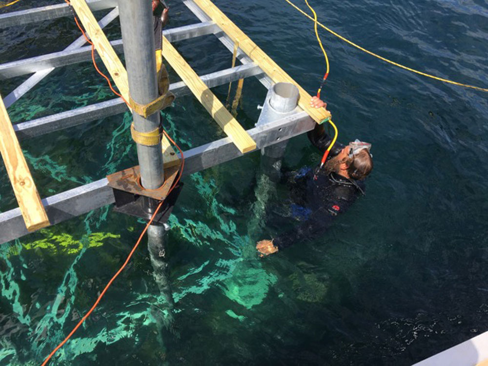 Steel Docks – AdironDocks LLC